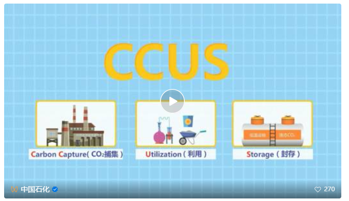 我国首个开放式千万吨级CCUS项目启动！中国石化+壳牌+中国宝武+巴斯夫共同打造 - 上海虬麟贸易有限公司